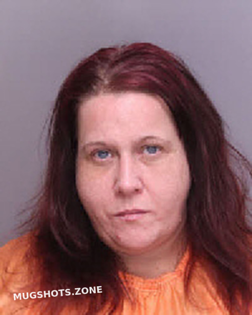 WHITTEN LACEY DIANNA 03/27/2025 - Florence County Mugshots Zone