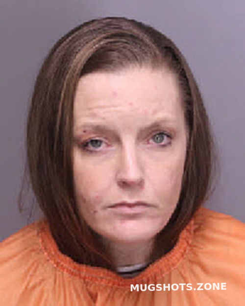 HERRING MANDY LYNN 04/10/2025 - Florence County Mugshots Zone