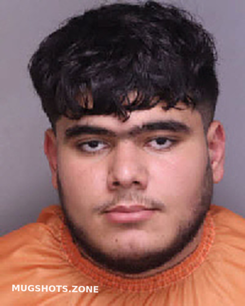 ABELSALAM MOUSTAFA HANY 04/23/2025 - Florence County Mugshots Zone