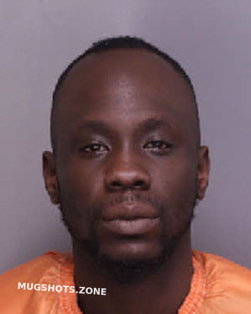 JAMES MARCUS MATTHEW 04/24/2025 - Florence County Mugshots Zone