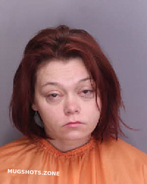LOOSTROM JESSICA DIANE 05/15/2025 - Florence County Mugshots Zone