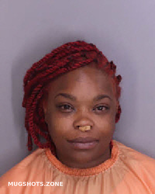 HANNA-ALSTON JESSICA SHAQUANA DANIELLE 05/16/2025 - Florence County ...