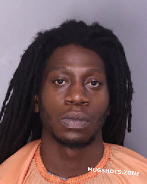 BRIGGS ELLIS LAVERN 05/29/2025 - Florence County Mugshots Zone