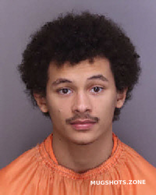 LOCKLEAR JONATHAN DEAN 06/04/2025 - Florence County Mugshots Zone