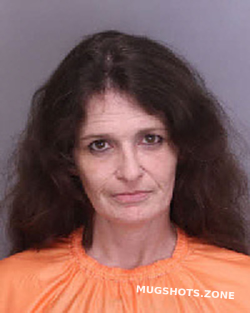 NEWSOME STEPHANIE SUTTON 06/27/2025 - Florence County Mugshots Zone
