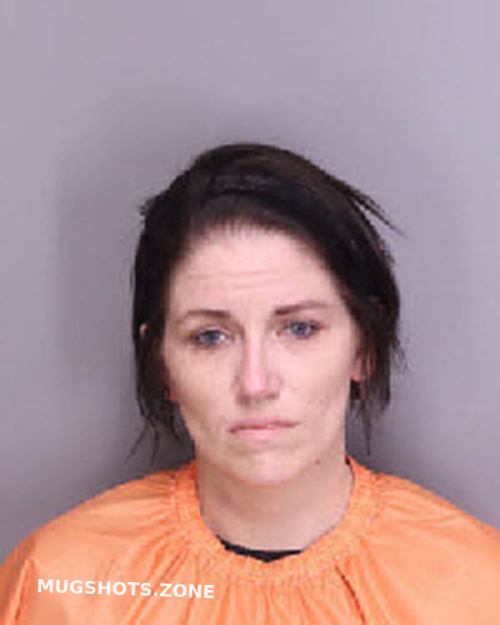 COOK JANIE CHRISTINE 07/07/2025 - Florence County Mugshots Zone