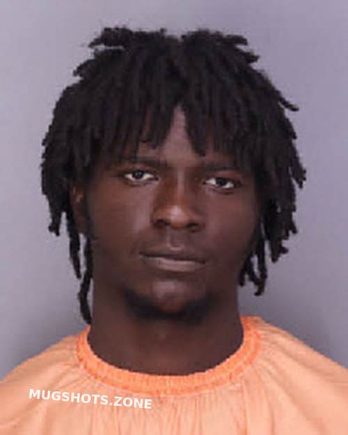 DAVIS SHAWN EMMANUEL 07/14/2025 - Florence County Mugshots Zone