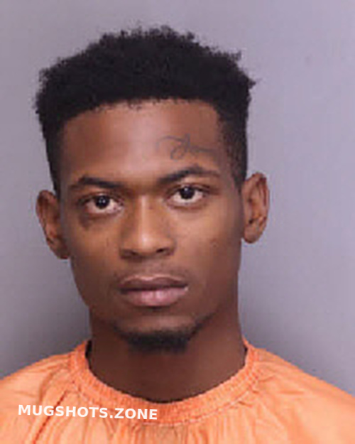 BROWN TERRON MARTIN 08/02/2025 - Florence County Mugshots Zone