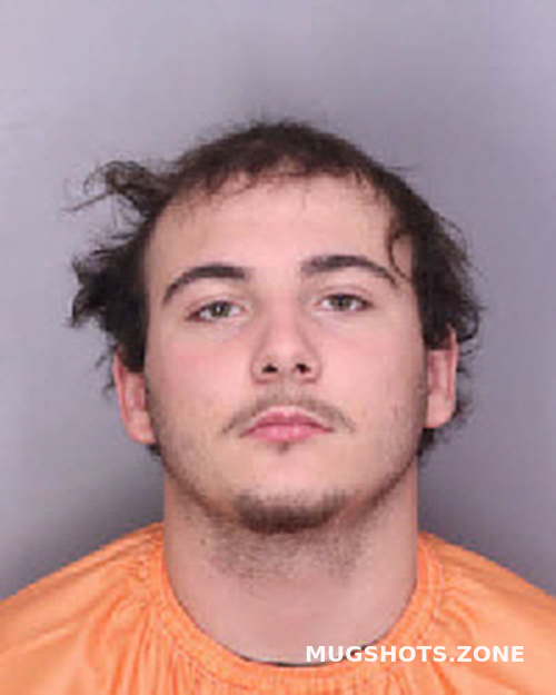 LOVE NATHAN TYLER 08/24/2025 - Florence County Mugshots Zone