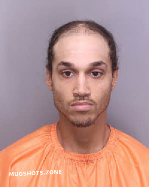 BROWN ARIC MICHAEL 09/11/2025 - Florence County Mugshots Zone