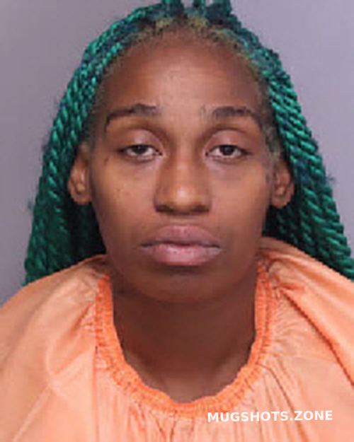 GEORGE TELICIA LAQUASHA 09/13/2025 - Florence County Mugshots Zone