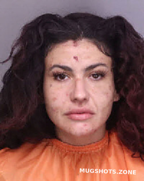 TORRES ALYZE CALANA 09/14/2025 - Florence County Mugshots Zone