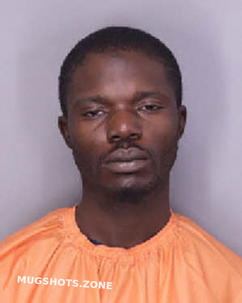MILLS DANNY DEVON 11/11/2025 - Florence County Mugshots Zone