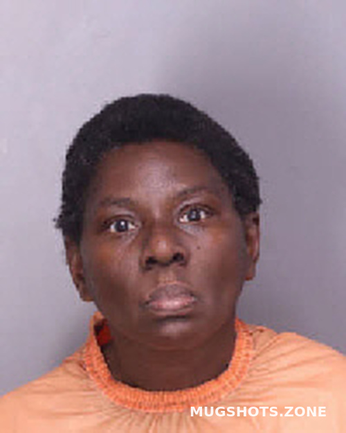 WRIGHT JOYCE ANN 11/20/2025 - Florence County Mugshots Zone