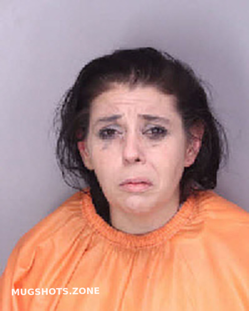 EDWARDS JENNIFER MICHELLE 11/23/2025 - Florence County Mugshots Zone