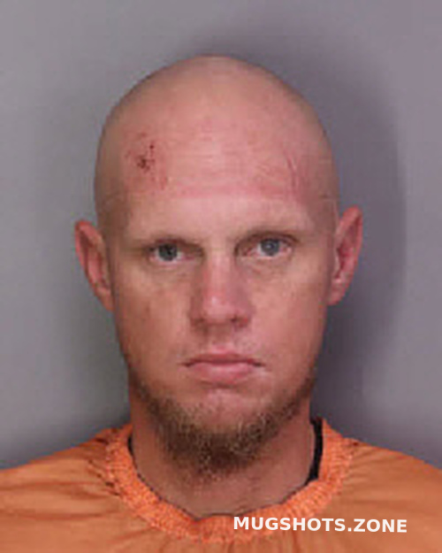 DOYLE CHARLIE LEO 11/29/2025 - Florence County Mugshots Zone