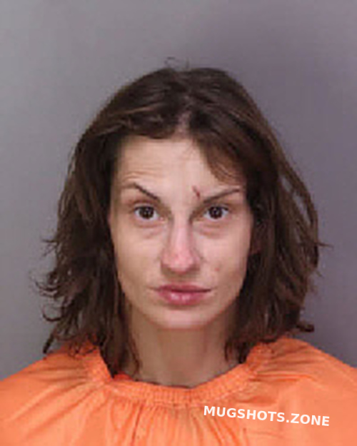 CAUSEY CHELSEA NICOLE 01/16/2026 - Florence County Mugshots Zone