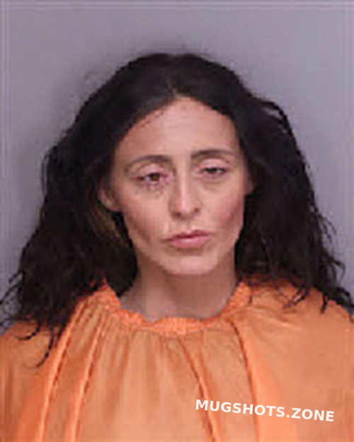 MCELVEEN MEGAN RENEE 02/24/2026 - Florence County Mugshots Zone