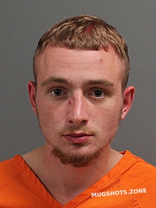 HIGGINS MATTHEW 11/07/2021 - Forrest County Mugshots Zone