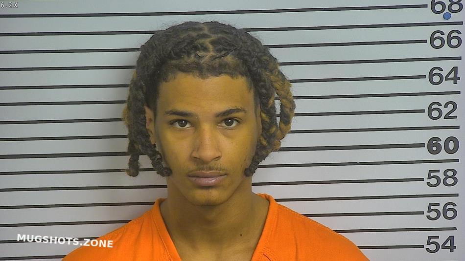 LEE DAVID JAMES 10/18/2022 - Forrest County Mugshots Zone