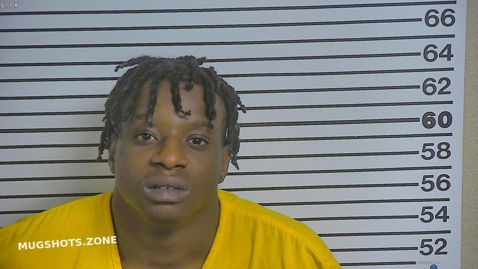 DENARIO JAMES RASHAUD 11/20/2022 - Forrest County Mugshots Zone