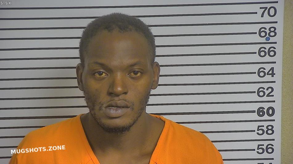 NELSON ANDREW GEORGE II 08/27/2023 - Forrest County Mugshots Zone
