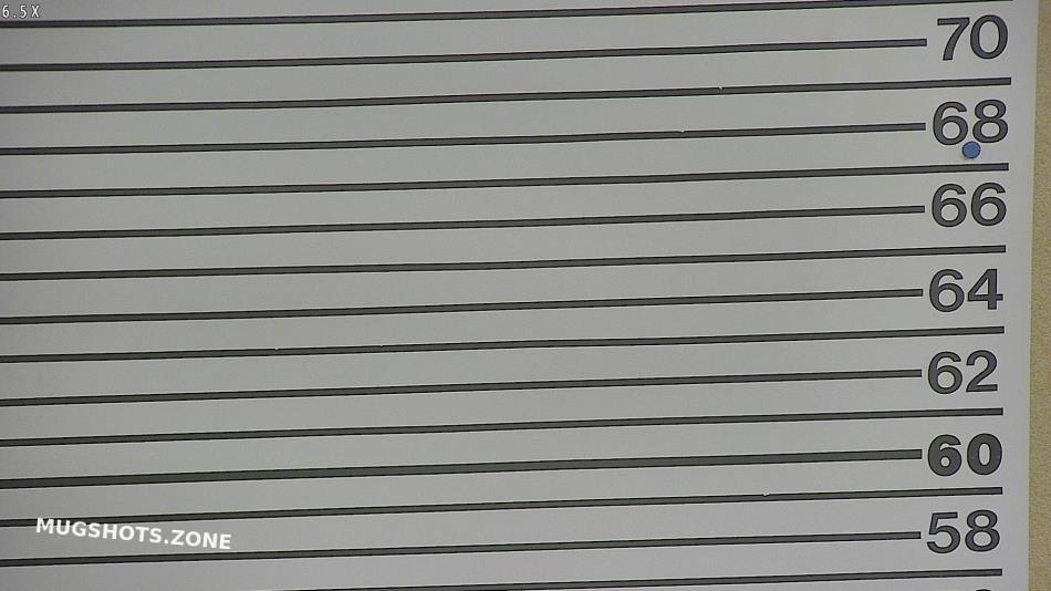 LEWIS DAVIE R 10/19/2023 - Forrest County Mugshots Zone