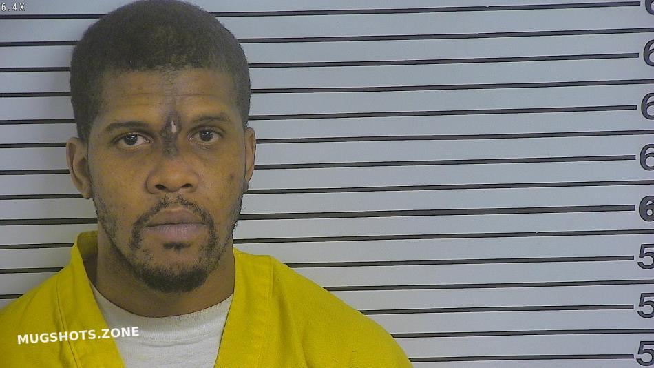 GIBSON TEVIN MARQUE 11/17/2023 - Forrest County Mugshots Zone