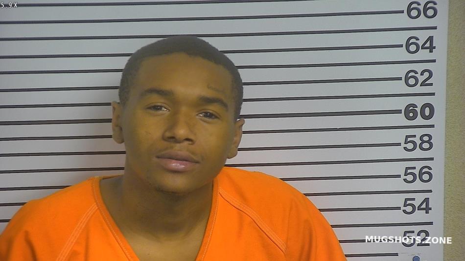 HAYES TYLER DEVON 08/11/2024 - Forrest County Mugshots Zone
