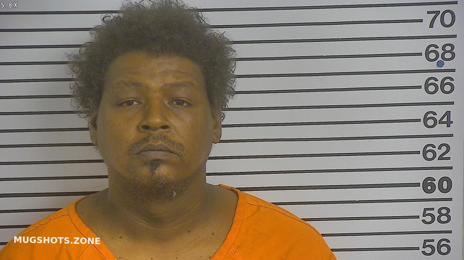 HAYNES TRACEY 11/08/2024 - Forrest County Mugshots Zone