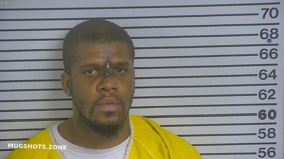 GIBSON TEVIN MARQUE 11/11/2024 - Forrest County Mugshots Zone
