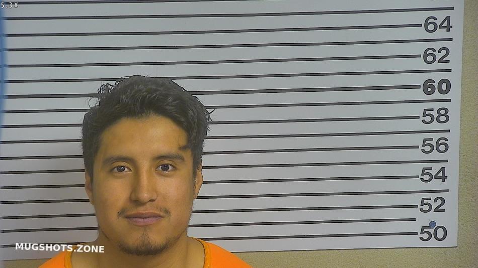 PANZO-TEMOXTLE JOSE ANTONIO 03/23/2025 - Forrest County Mugshots Zone