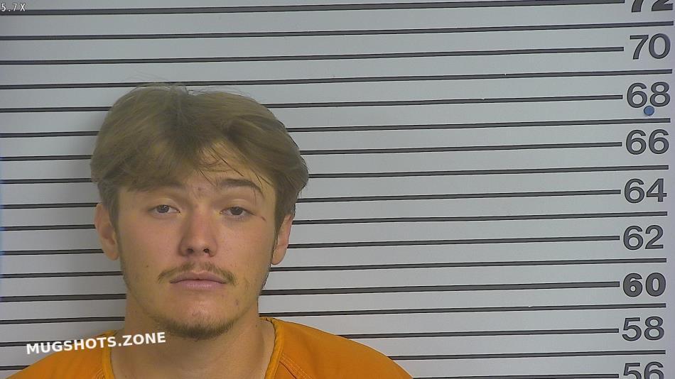 WILLIAMSON JADEN GUNNDER 04/18/2025 - Forrest County Mugshots Zone