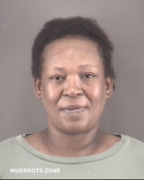 DAVIS SYLVIA ANNETT 05/13/2021 - Forsyth County Mugshots Zone