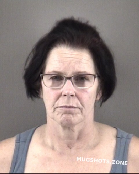 BOLDEN LISA RENEE 09/06/2023 - Forsyth County Mugshots Zone