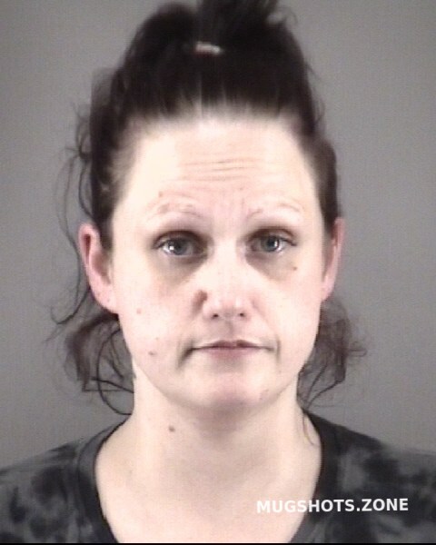 WARD BRITTANY NICOLE 10/18/2023 - Forsyth County Mugshots Zone