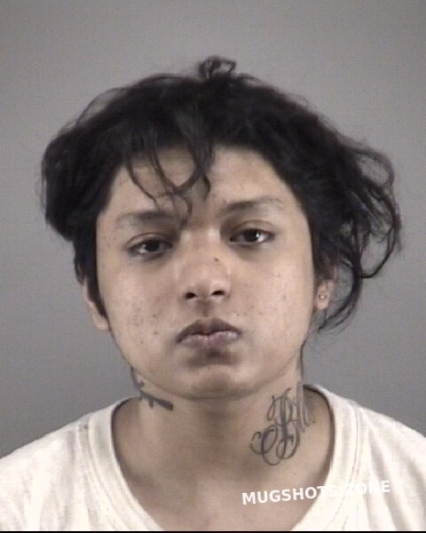 GARCIA JONATHAN BLANCO 03/06/2024 - Forsyth County Mugshots Zone
