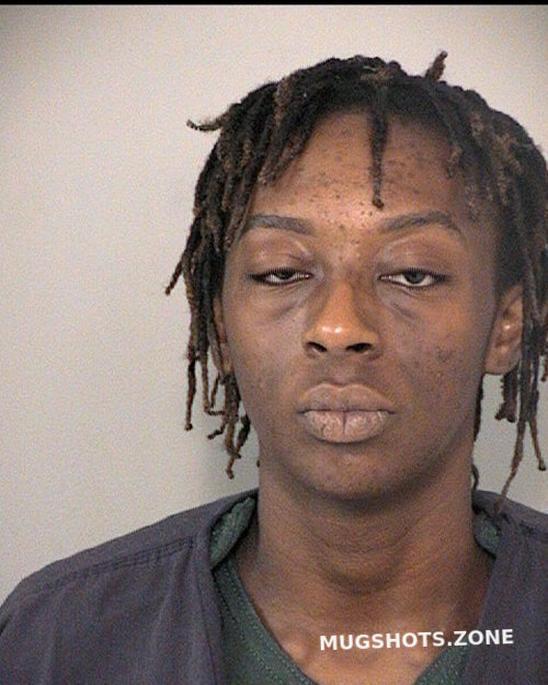 JOHNSON SOFIE IVIE 08/16/2022 - Fort Bend County Mugshots Zone