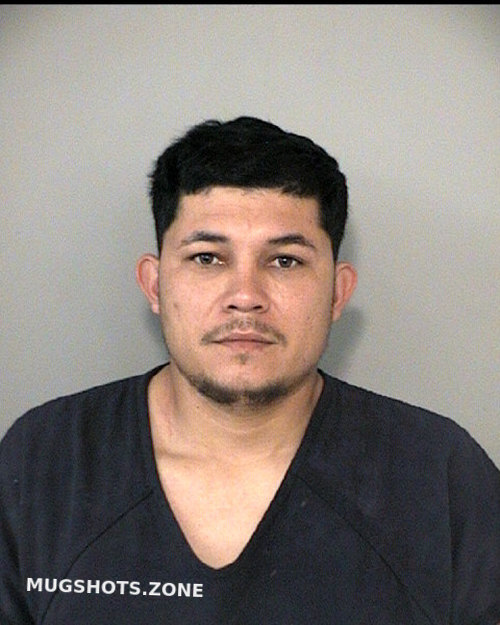 ECHEVERRIA MATUTE DIXON ANAEL 01/06/2023 - Fort Bend County Mugshots Zone