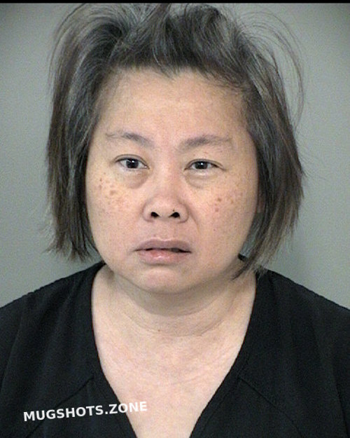 CHENG YU-CHING 02/05/2023 - Fort Bend County Mugshots Zone