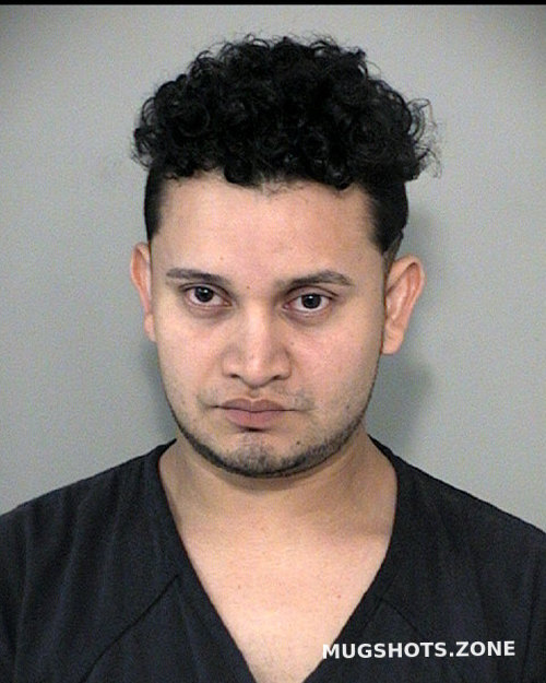 NAVARETTE MEDINA JOSE ARTEMIS 03/13/2023 - Fort Bend County Mugshots Zone