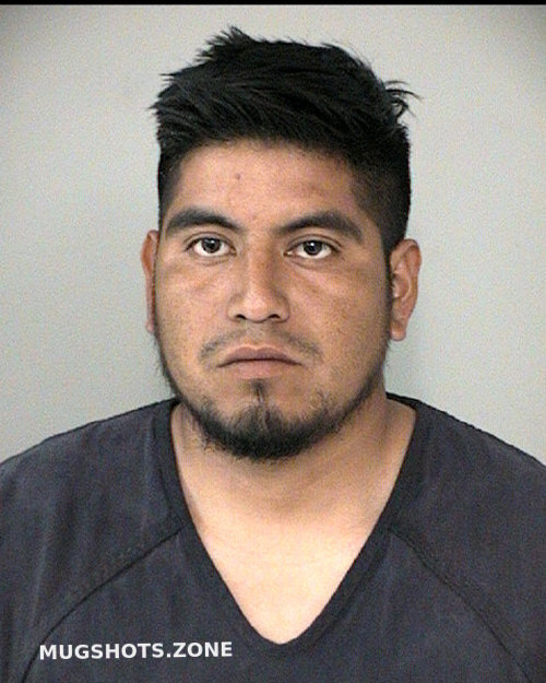 PANZO-PANZO ADELINO 04/17/2023 - Fort Bend County Mugshots Zone