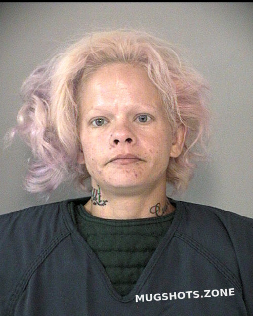 SHELL LISA MARIE 06/15/2023 - Fort Bend County Mugshots Zone
