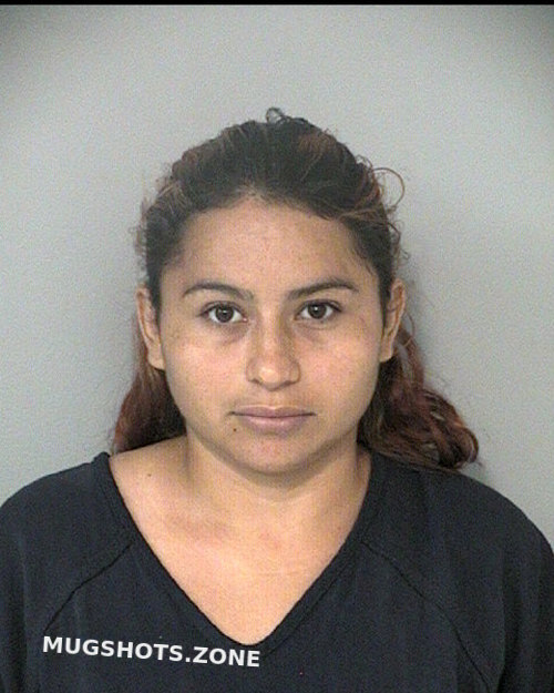 Chavez Estefany 08 05 2023 Fort Bend County Mugshots Zone