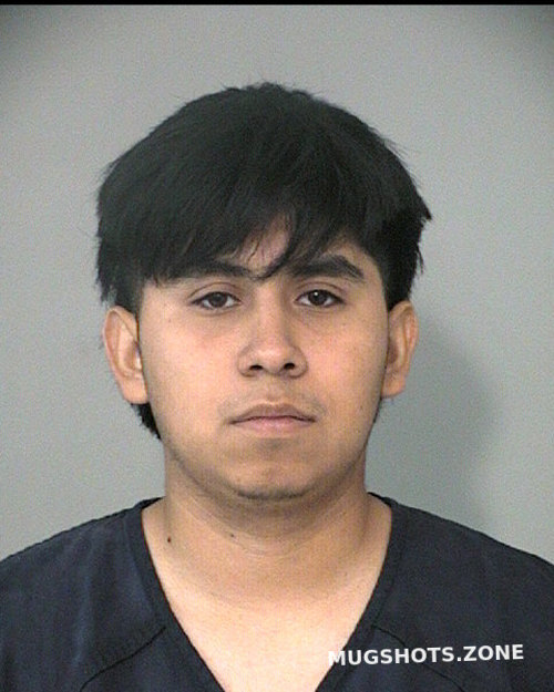 FLORES GIOVANNI 08/11/2023 - Fort Bend County Mugshots Zone