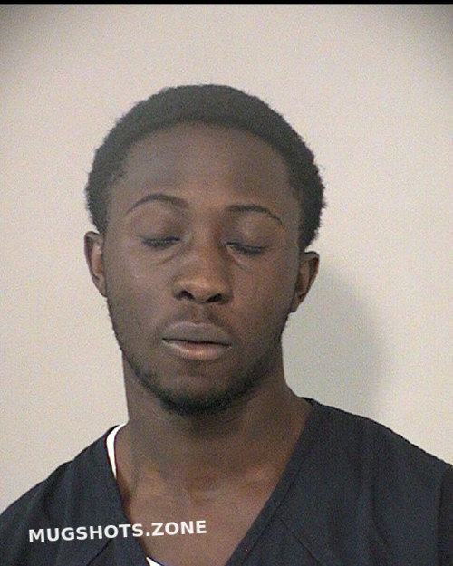 ADEOJO BRIAN TIMILEYIN 08/15/2023 - Fort Bend County Mugshots Zone