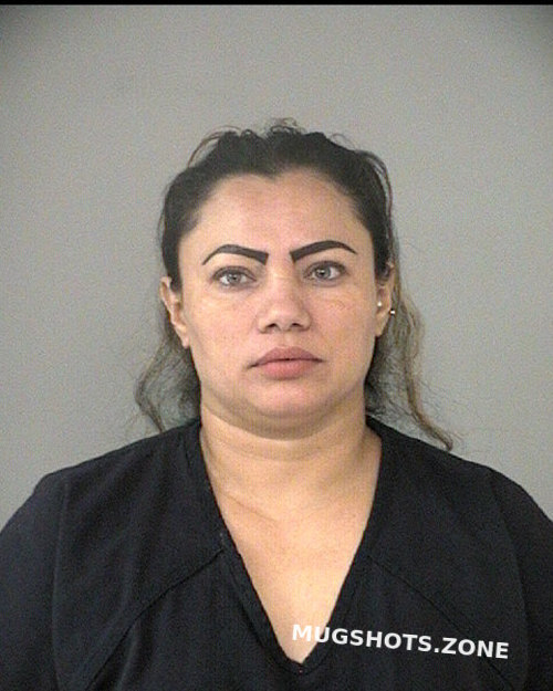 CASTILLO CAROLINA ELIZABETH 11/26/2023 - Fort Bend County Mugshots Zone