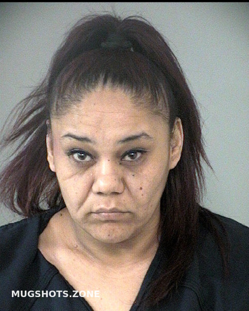 VELA DEBBIE S 02/06/2024 - Fort Bend County Mugshots Zone