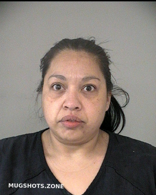 REYNA JESSICA STACY 02/22/2024 - Fort Bend County Mugshots Zone
