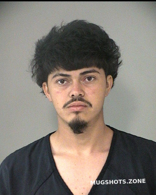CERRITOS HUGO 03/09/2024 - Fort Bend County Mugshots Zone